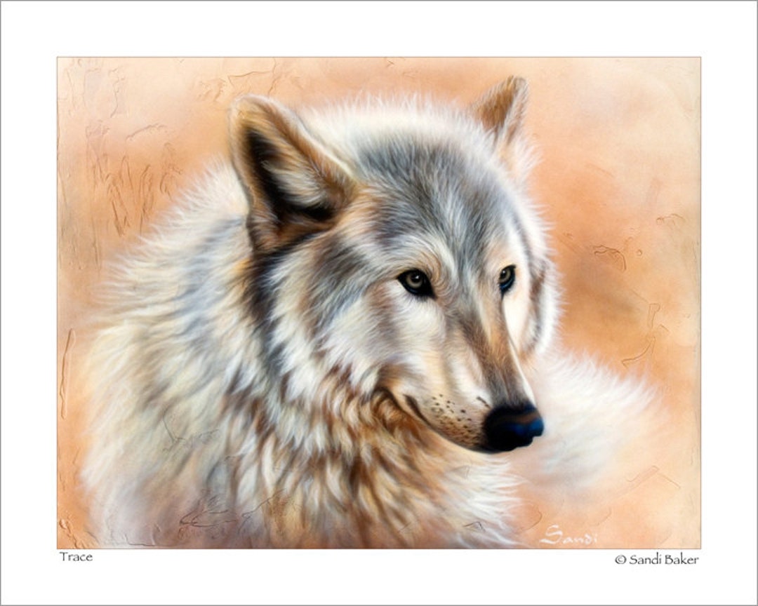 Wolf Art Print - "trace" © Sandi Baker - Etsy