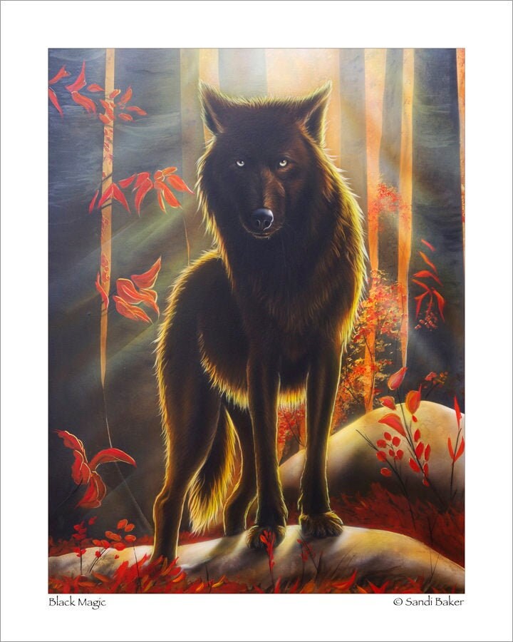 Black Wolf Art Print black Magic © Sandi Baker - Etsy