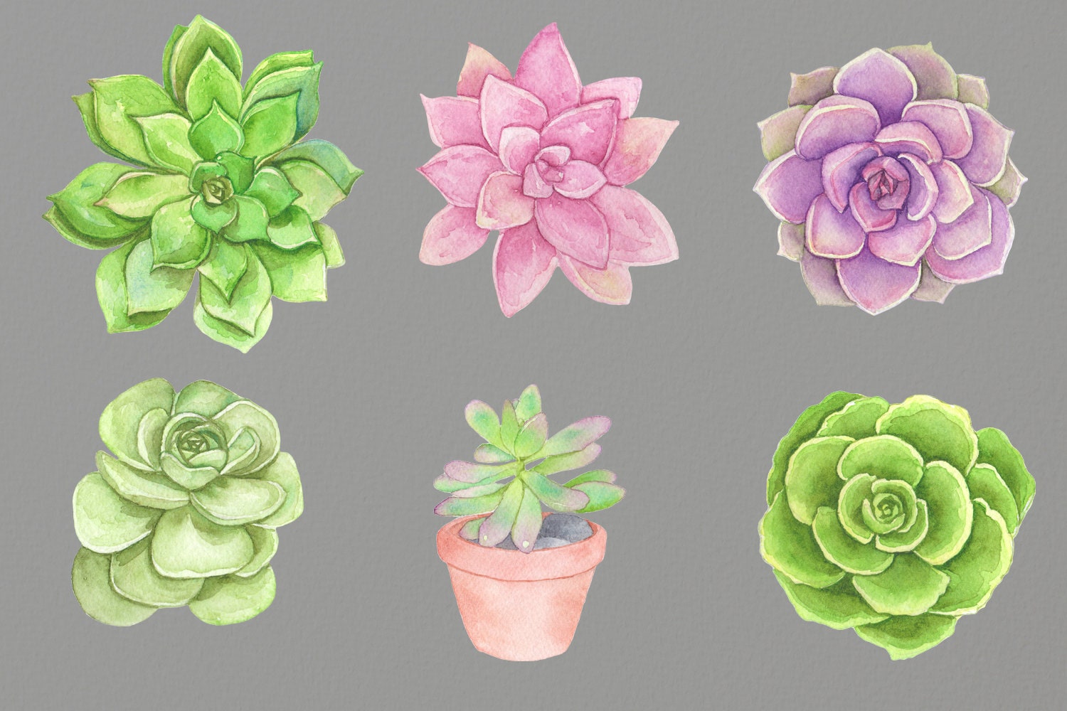 Watercolor Succulent Clipart, Succulent Plant Painting, Succulent Clip ...
