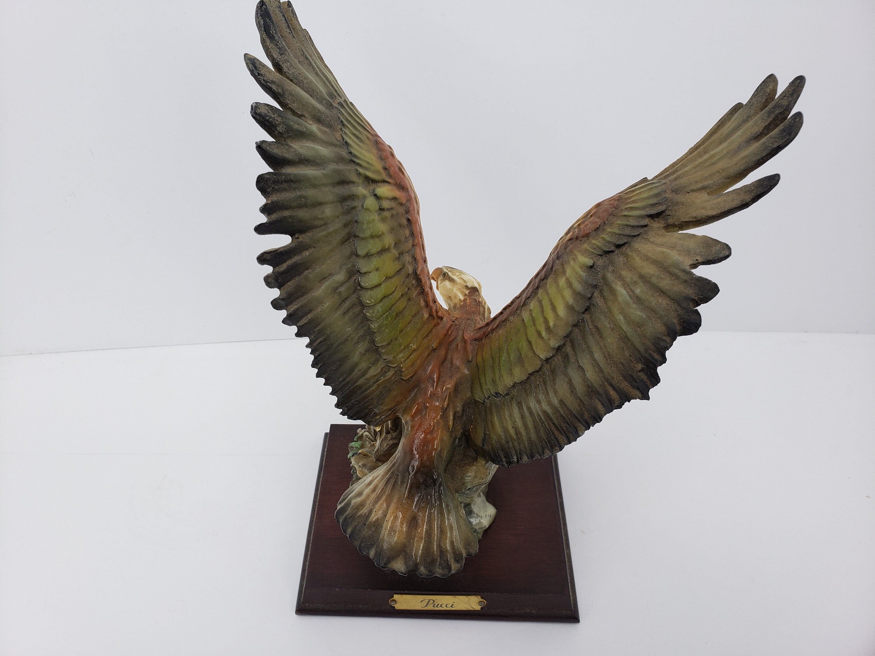 Pucci Eagle Protecting Baby Eaglets in Nest Arnart Pucci | Etsy