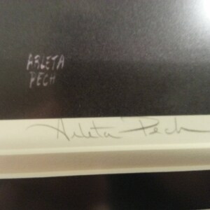 Cluster of Peonies by Arleta Pech Print Painting Number and Pencil ...