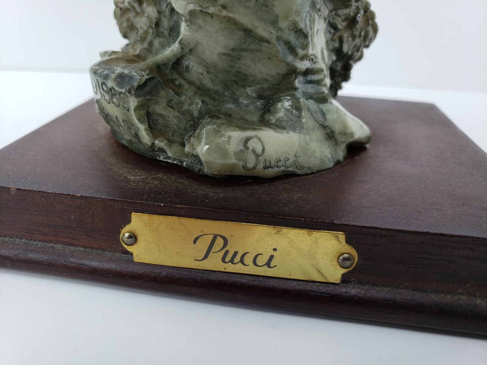 Pucci Eagle Protecting Baby Eaglets in Nest Arnart Pucci | Etsy