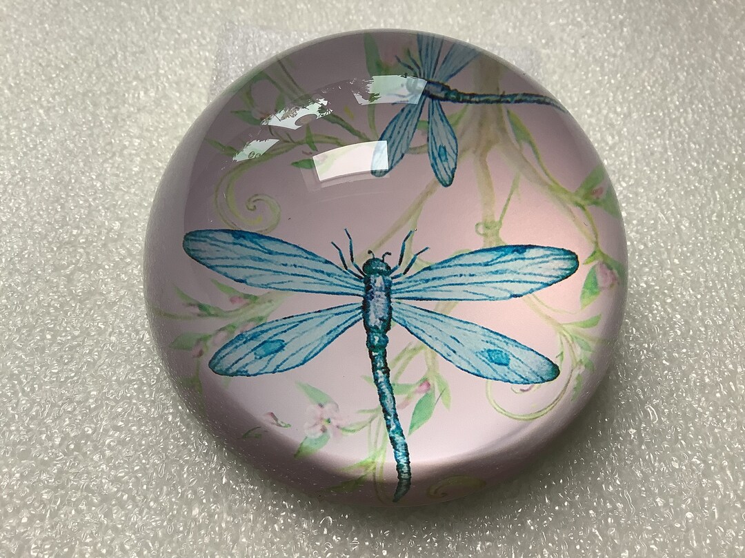 Vintage Glass Dome Paperweight With Dragonflies - Etsy