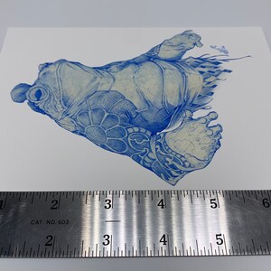 Sumo Frog Sketch Art Print by Dela Longfish 8x10 and 5x7 Inches - Etsy