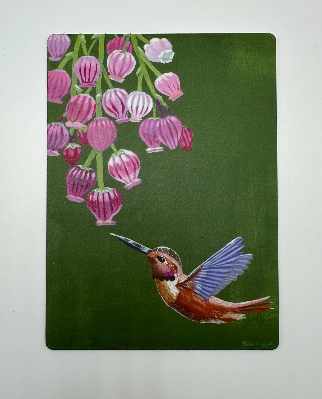 Hummingbird Flowers Magnet - Etsy