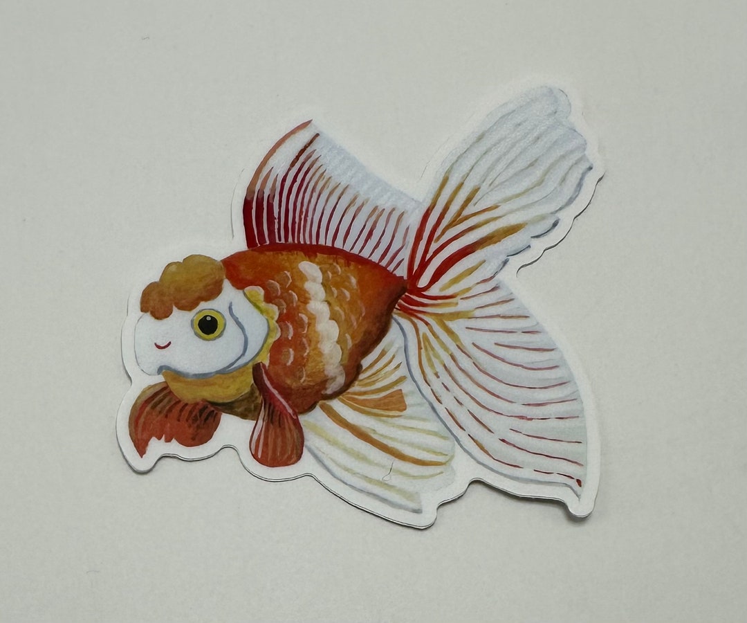 Oranda Goldfish Sticker! Thick, Durable Vinyl Protects Your Stickers ...