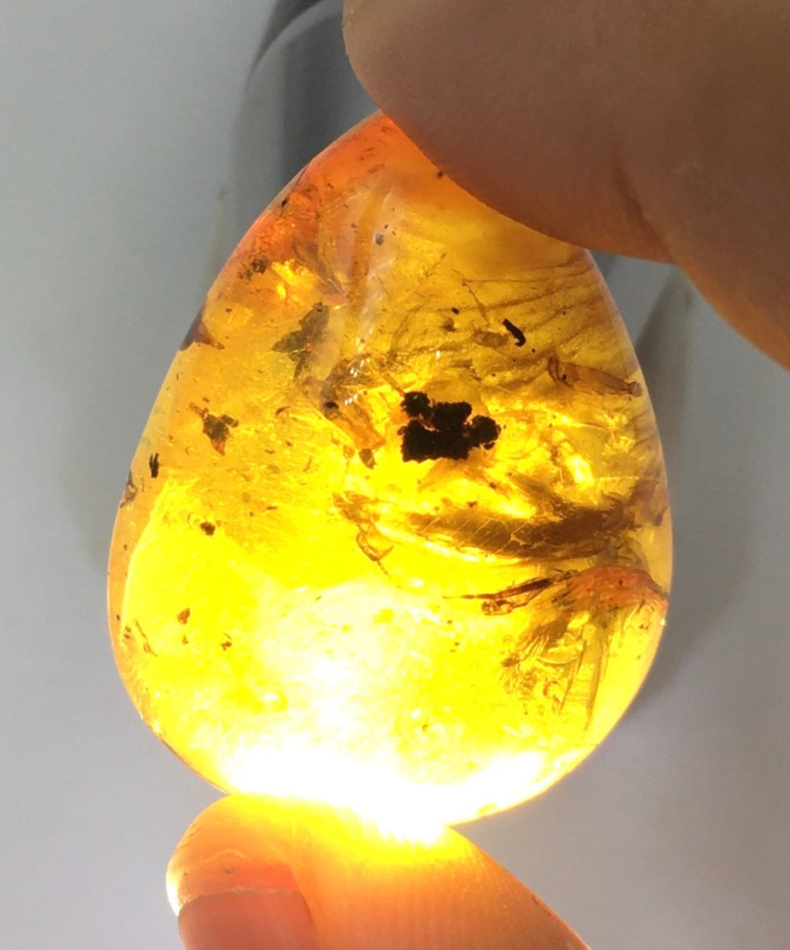 Natural Amber Burma Insectamber Burmiteamber Burmeseamber - Etsy