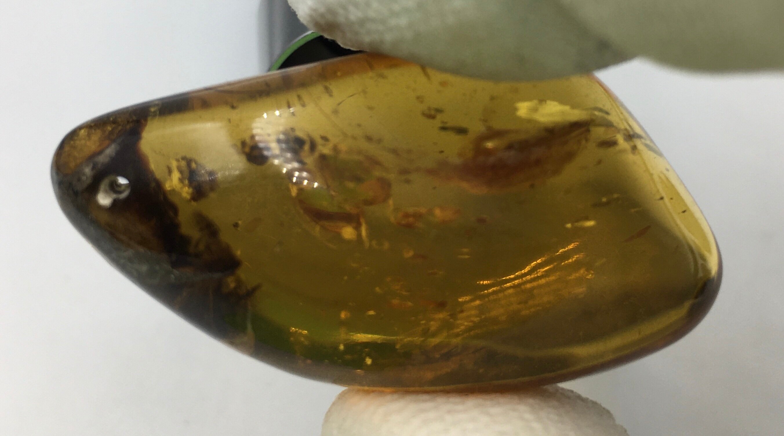 Natural Amber Burma Insectamber Burmiteamber Burmeseamber | Etsy