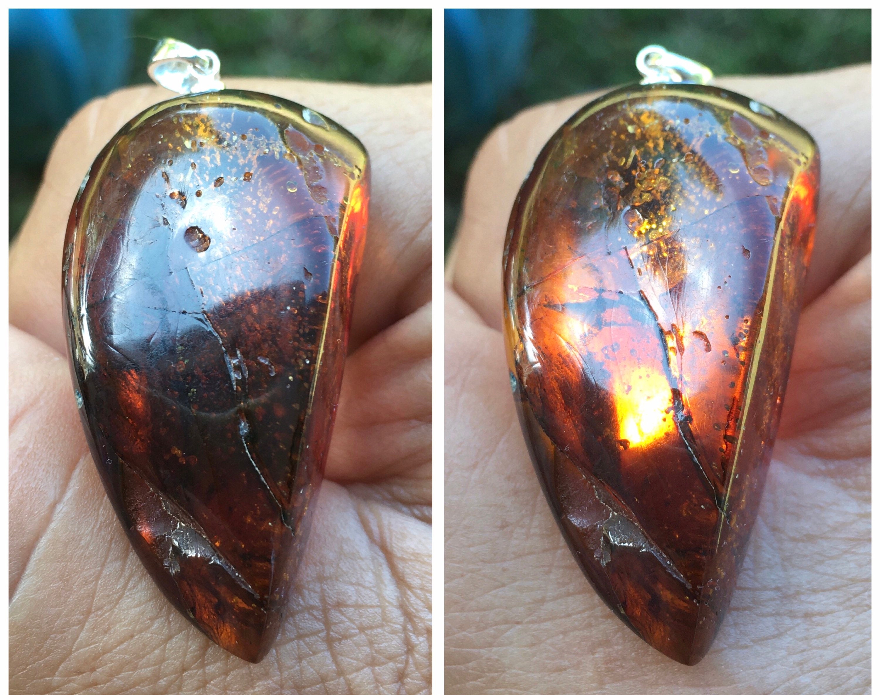 Jewelry & Beauty Natural Amber Burmese insect,Amber Burma,Amber Burmite ...