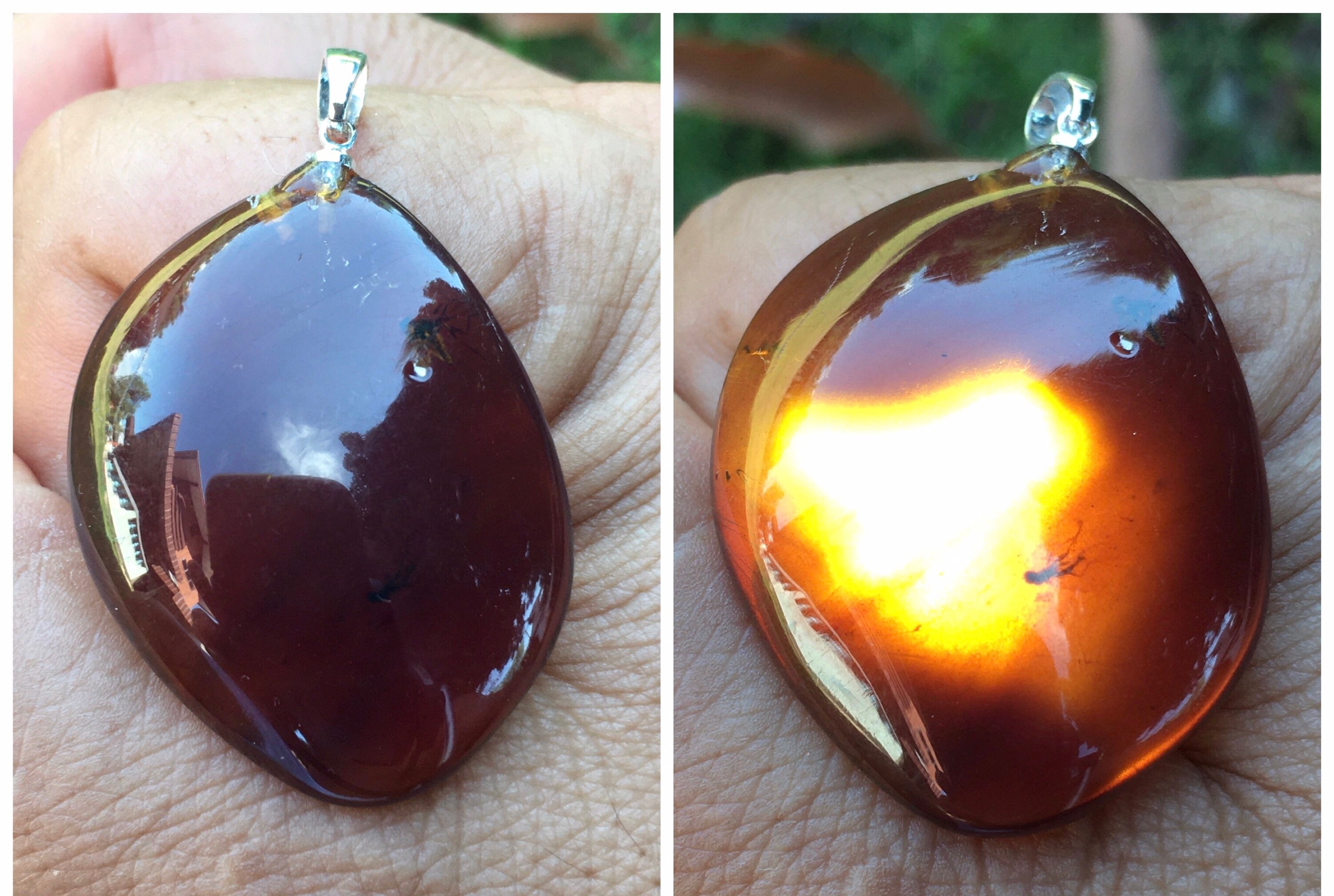 Jewelry & Beauty Natural Amber Burmese insect,Amber Burma,Amber Burmite ...