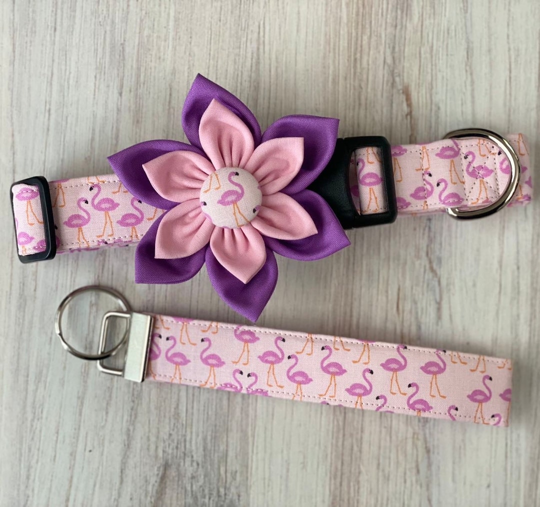 Flamingo Dog Collar With Purple Flower, Beach Collar - Etsy