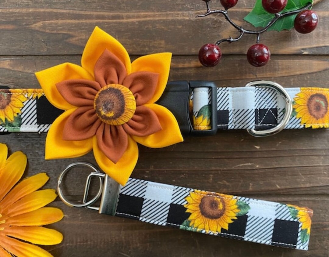 Dog Collar, Sunflower, Sunflower Dog Collar, Collar With Bow, Collar ...
