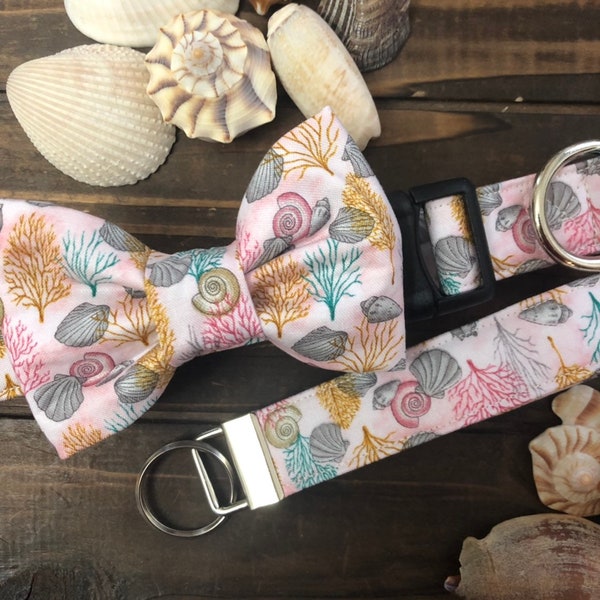 Sea Shell Bow - Etsy