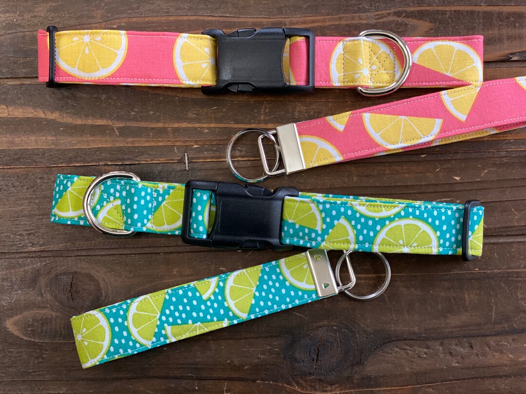 Collar de perro, clásico, limones, limón, collar de limón, collar de ...