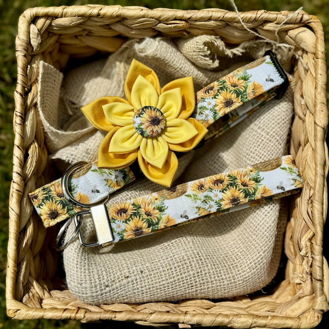 Sunflower Dog Collar: Detachable Flower, Fall Autumn Style - Etsy