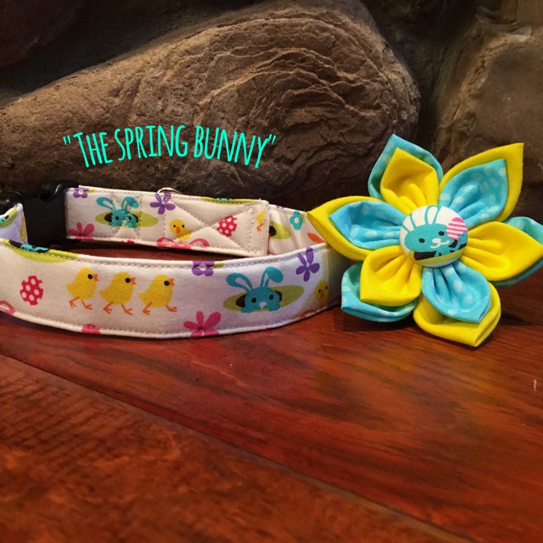 Bright, Dog Collar, Easter Dog Collar, Dog Collar, Bunny Dog Collar ...