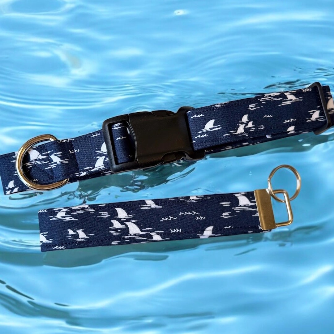 Dog Collar, Shark, Sharks, Fin, Week, Summer, Ocean, Beach, Vacation ...