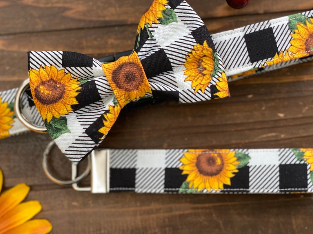 Dog Collar, Sunflower Dog Collar, Sunflower , Sunflower Collar, Dog ...