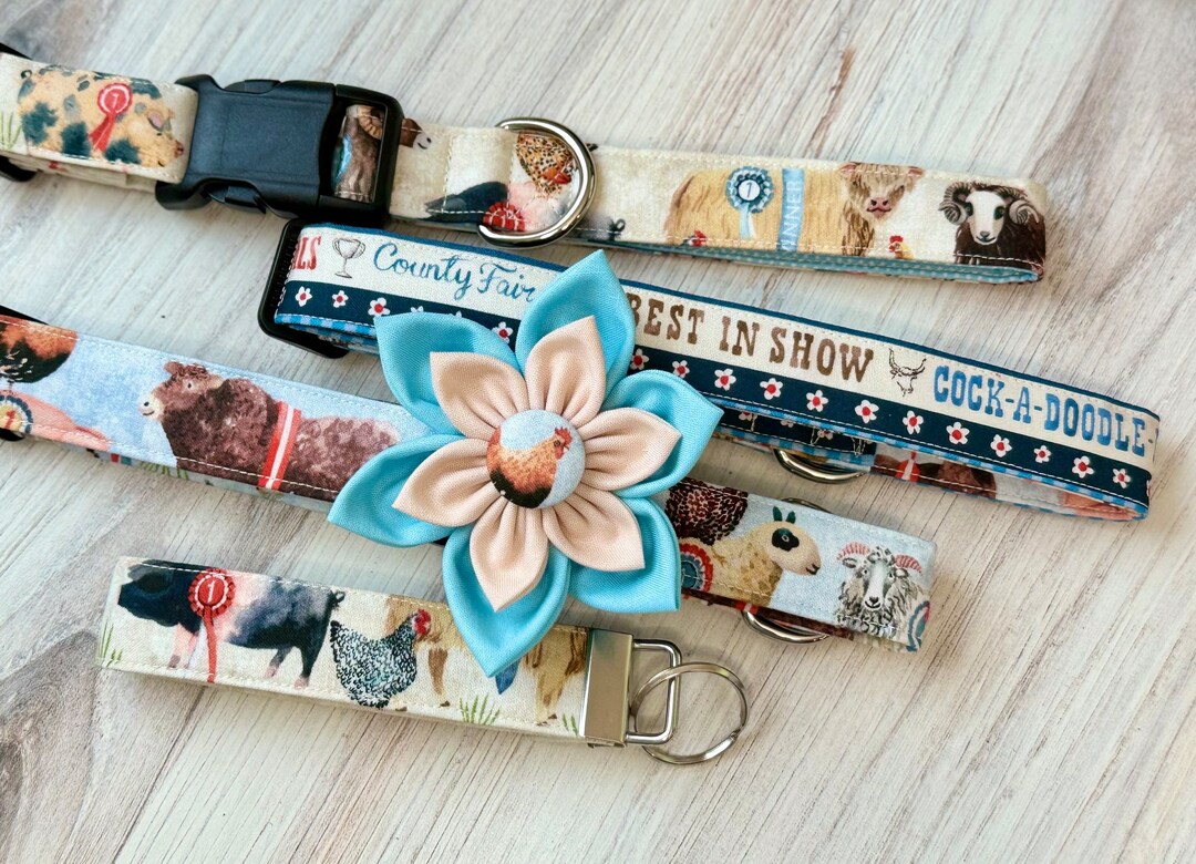 Dog Collar, Best in Show, Animals, Cow, Longhorn, Highland, Pig ...