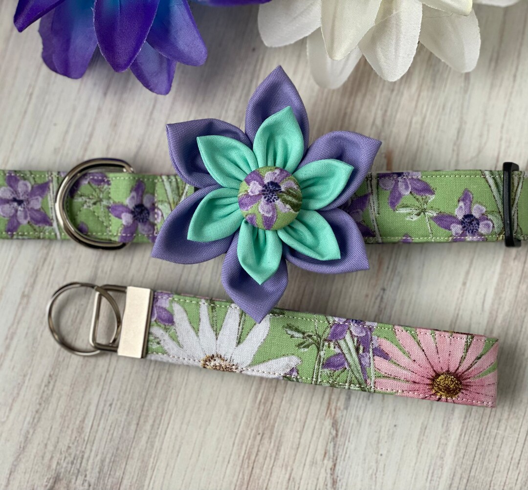 Dog Collar, Collar With Flower, Flower, Floral, Daisy , Daisies, Green ...
