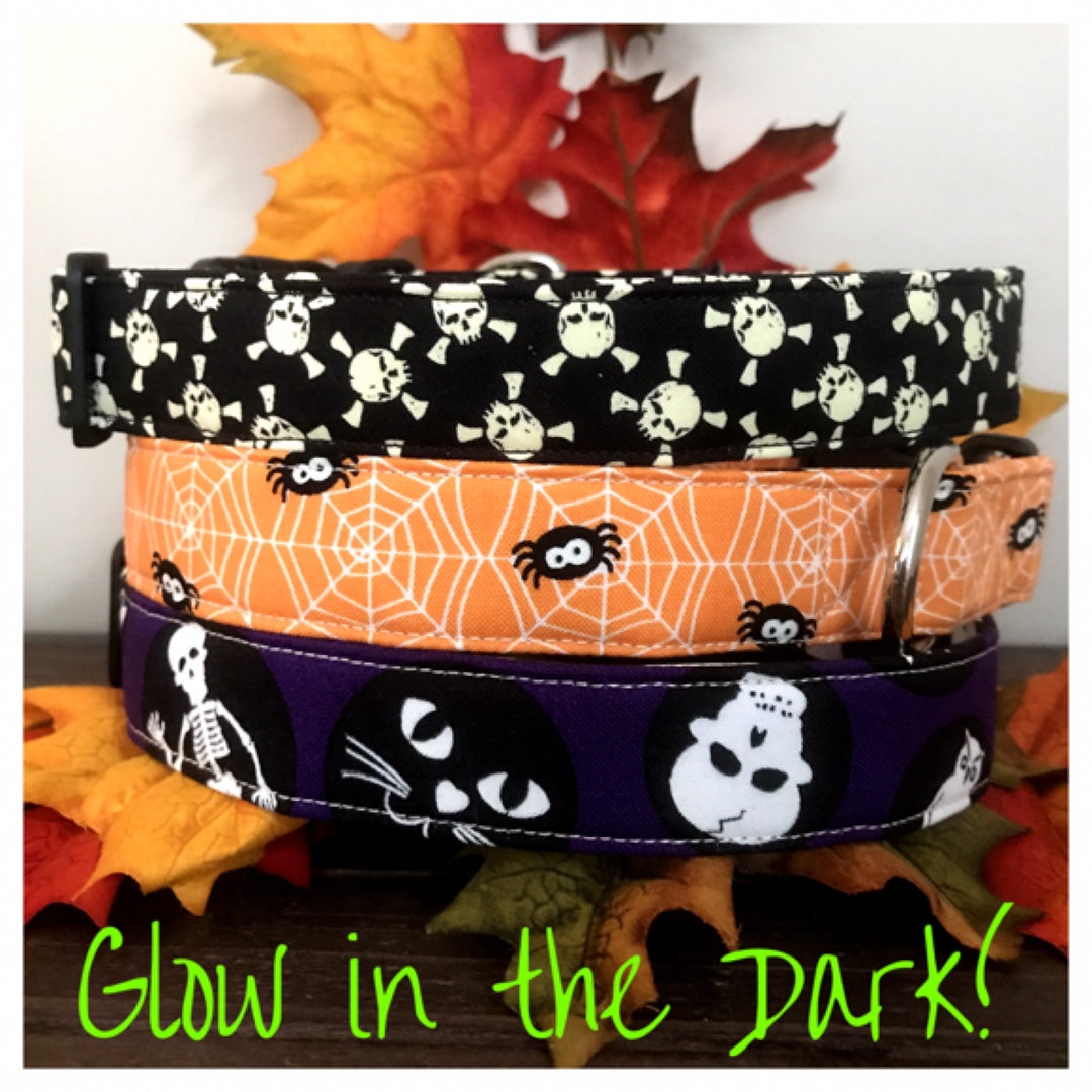 Halloween Dog Collar Dog Collar Glow in the Dark Collar - Etsy