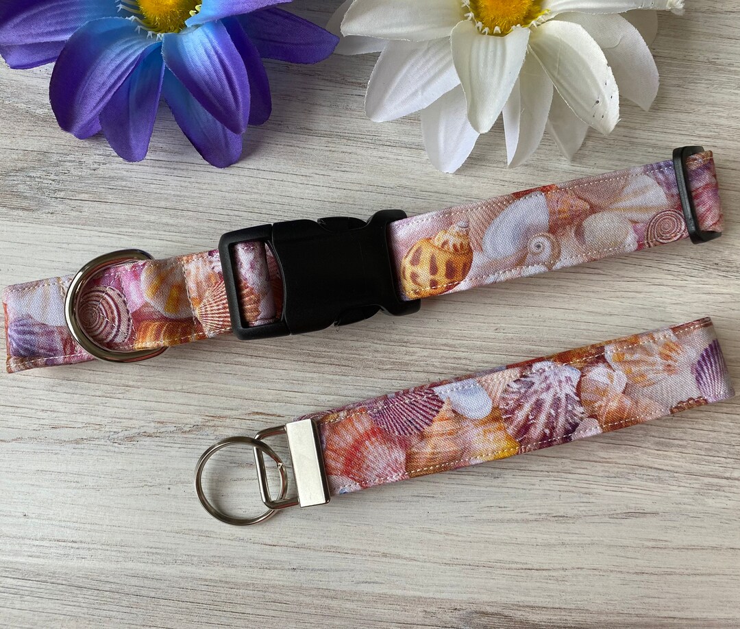 Dog Collar, Seashell, Seashells , Sea Shells, Ocean, Sea Shell Dog ...