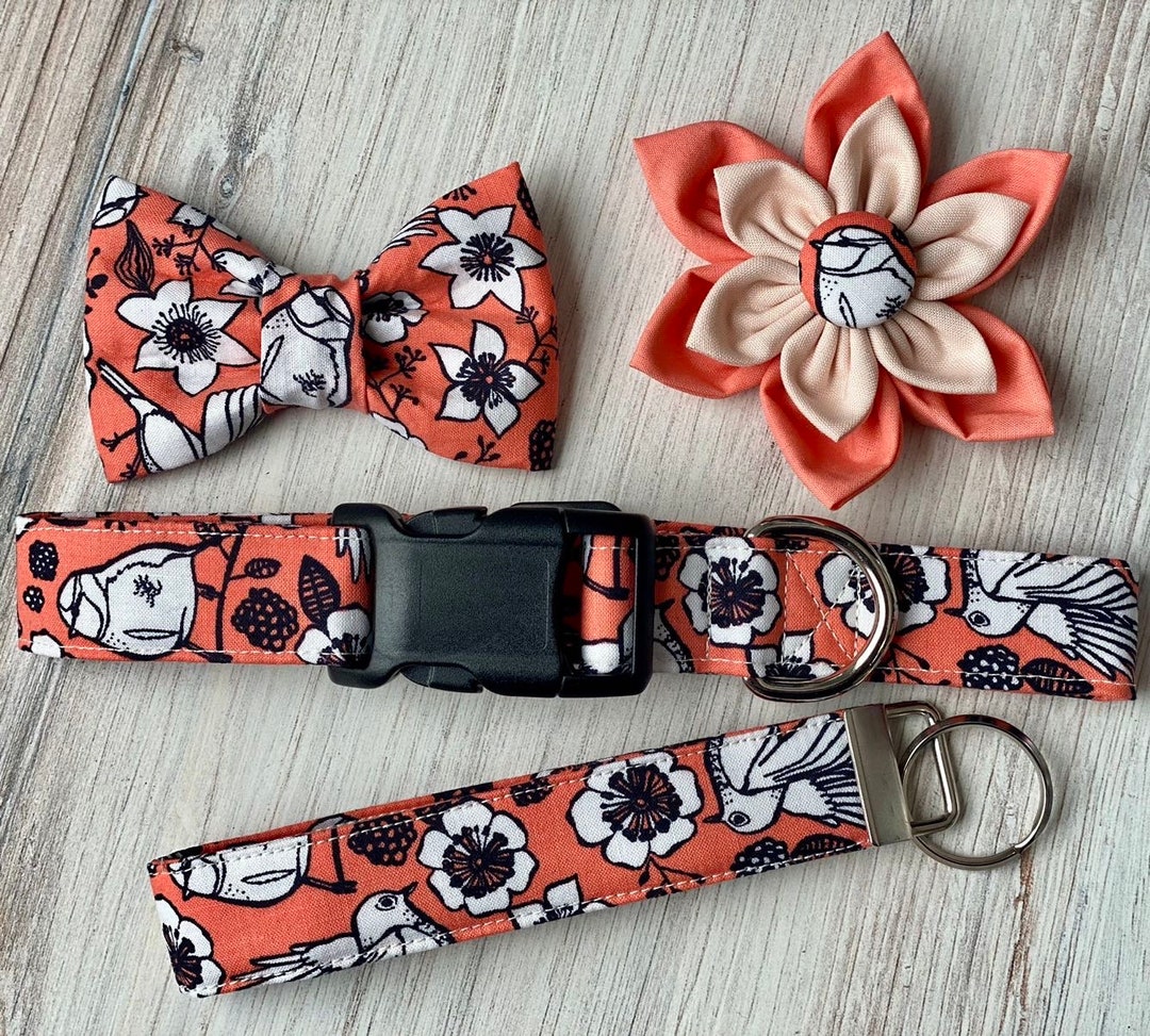Dog Collar, Peach, Bird, Birds, Robin, Sparrow, Collar With Bow, Collar ...