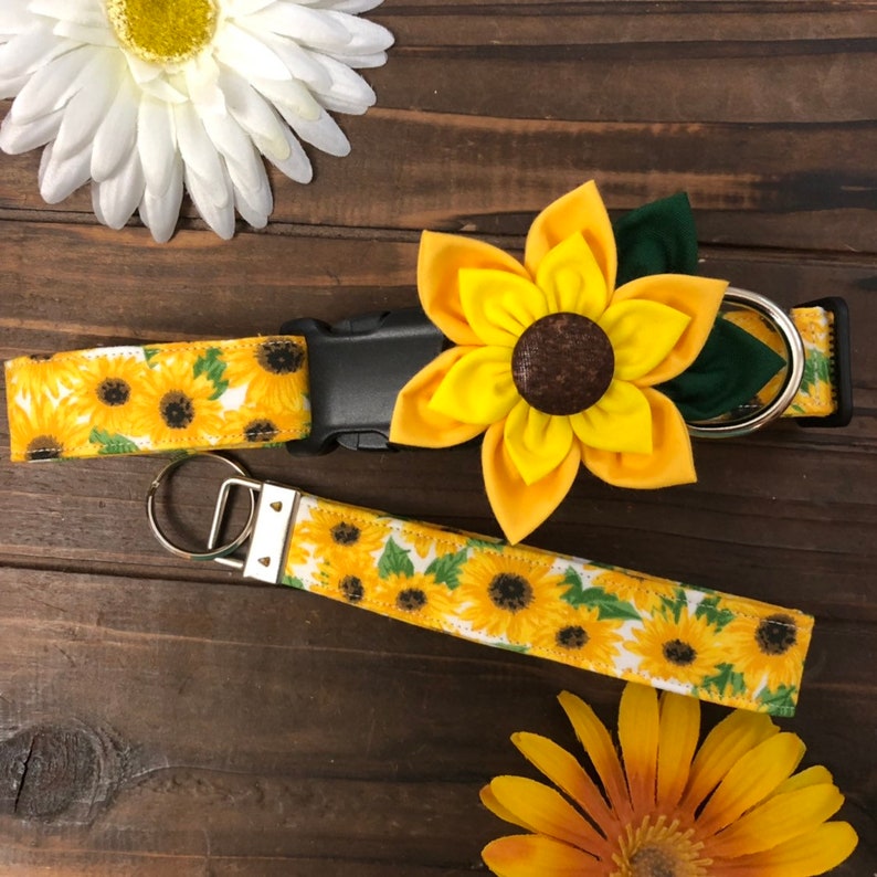 Dog Collar Sunflower Sunflower Dog Collar Collar With Bow - Etsy