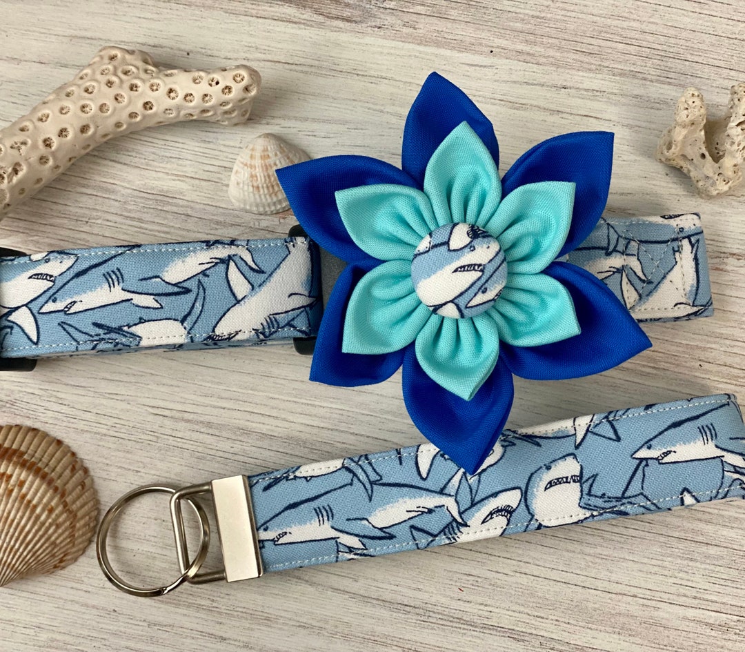 Dog Collar, Sharks, Shark , Week, Collar With Bow, Collar With Flower ...