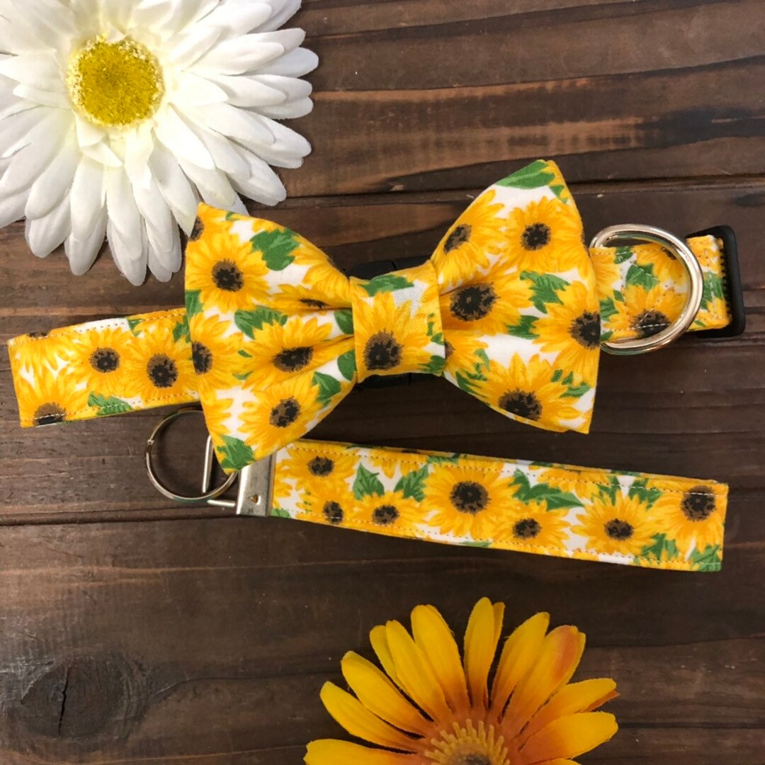 Dog Collar, Sunflower Dog Collar, Sunflower , Sunflower Collar, Dog ...