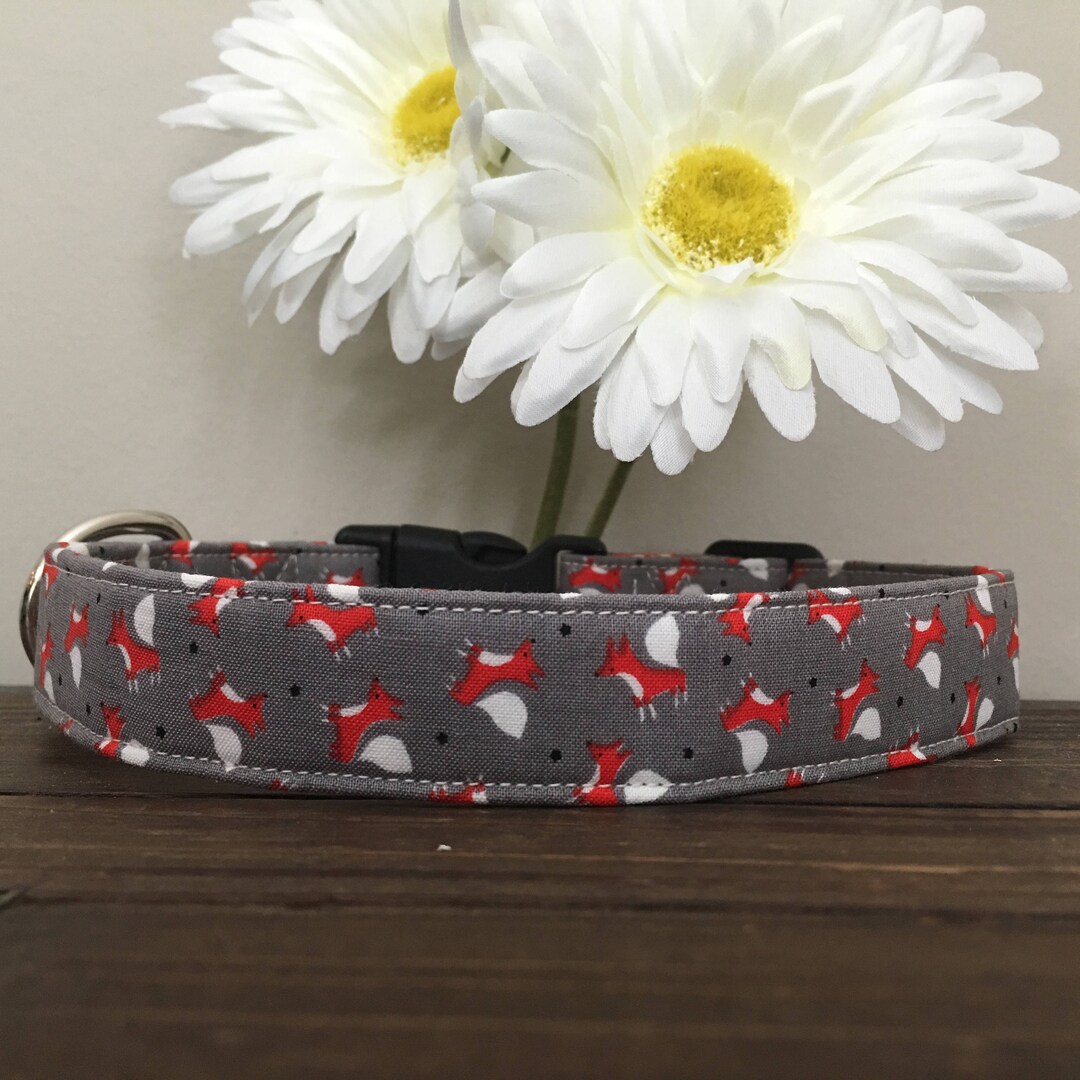 Dog Collar, Fox Dog Collar, Fun Dog Collar, Shiba Dog Collar, Shiba Inu ...