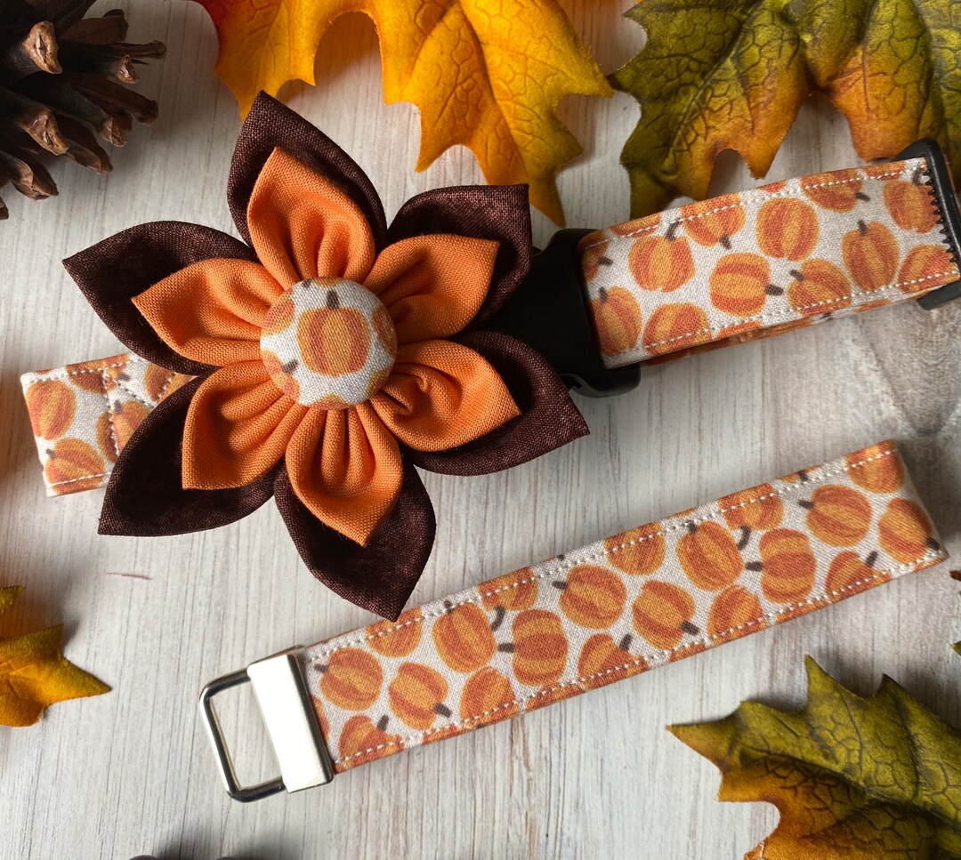 Pumpkin Dog Collar With Detachable Flower: Autumn Thanksgiving - Etsy
