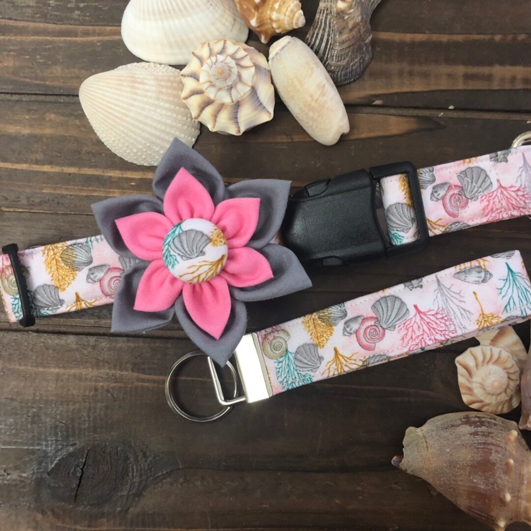 Dog Collar, Sea Shell, Sea Shell Collar, Sea Shell Dog Collar, Beach ...