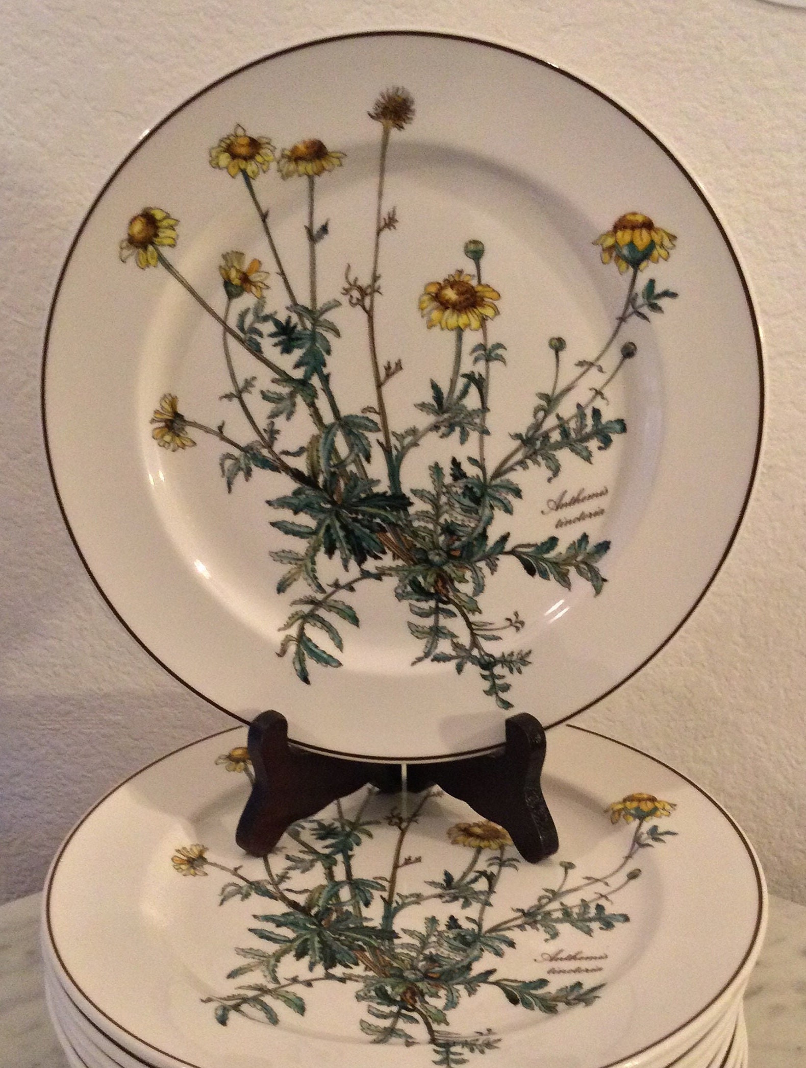 VILLEROY & BOCH BOTANICA Set of Ten 10 Luncheon Plates anthemis ...