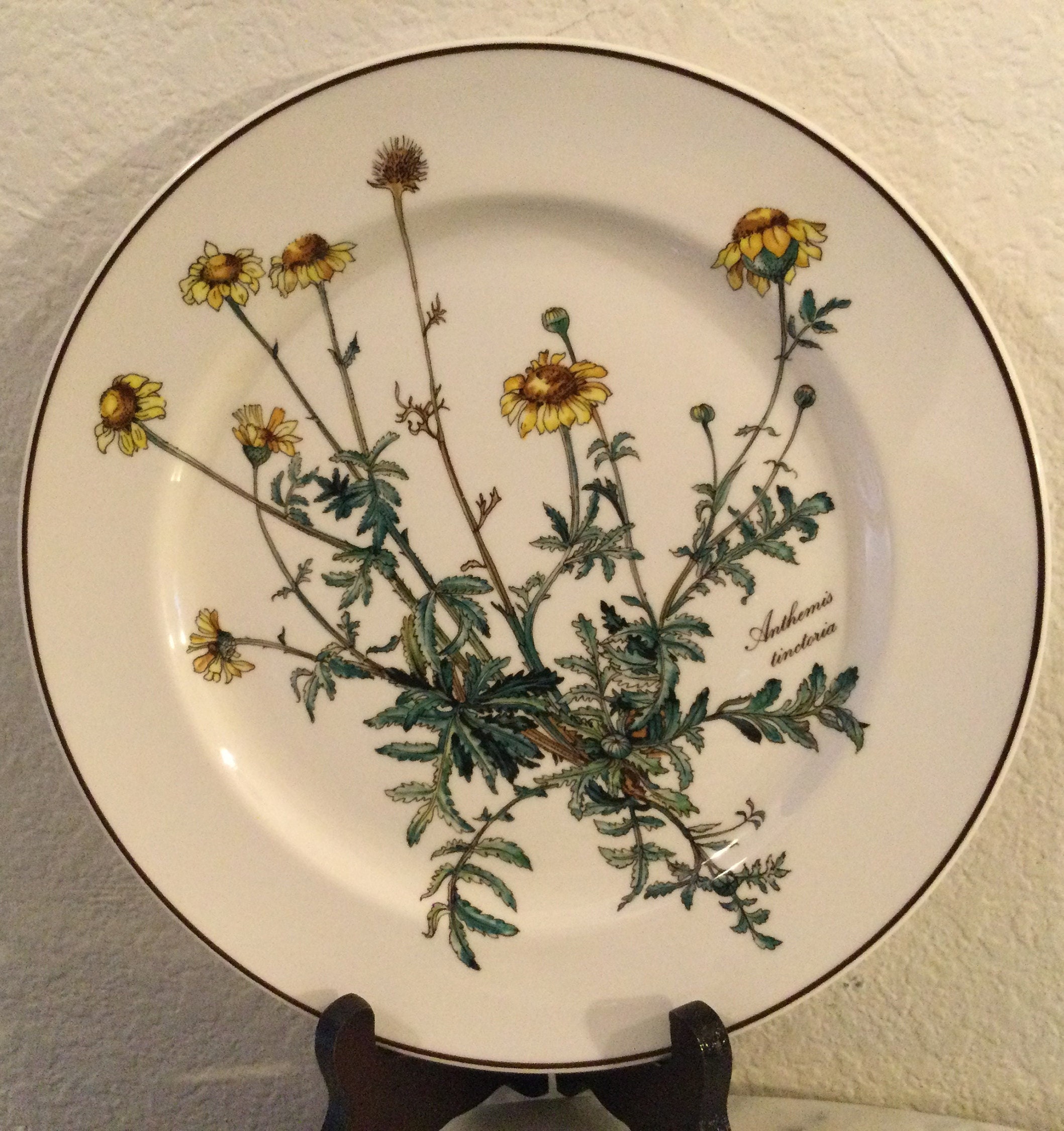 VILLEROY & BOCH BOTANICA Set of Ten 10 Luncheon Plates anthemis ...