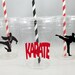 Karate Themed Party Cups With Straws and Lids - Etsy