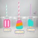 Personalized Popsicle Themed Party Cups With Straws and Lids, Two Sweet ...