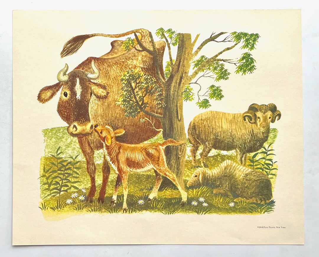 Farm Animals' Print - Cow, Calf & Sheep - Artist Leonard Weisgard ...