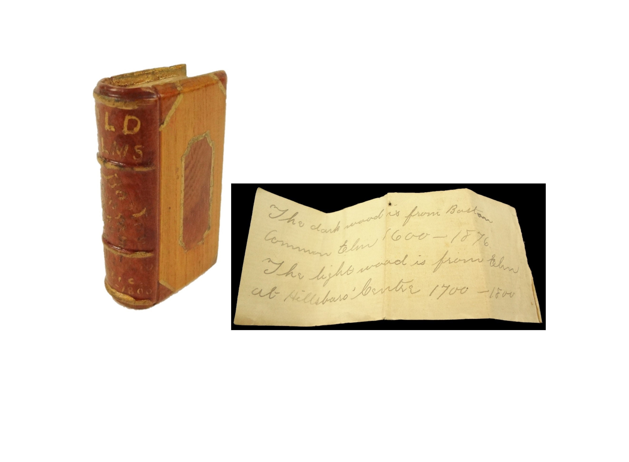 Boston Common Elm carved book, circa 1876. The Great Elm was sister to ...