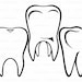 Tooth molar svg/tooth molar clipart/tooth svg/molar | Etsy