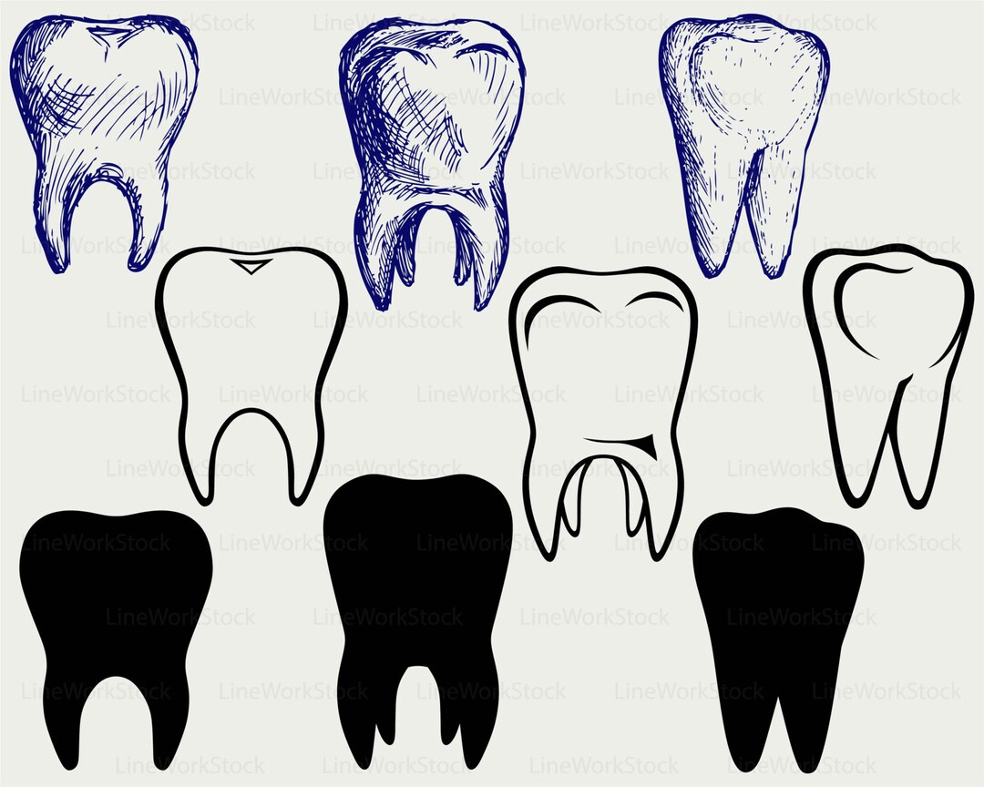 Tooth Molar Svg/tooth Molar Clipart/tooth Svg/molar Silhouette/molar ...