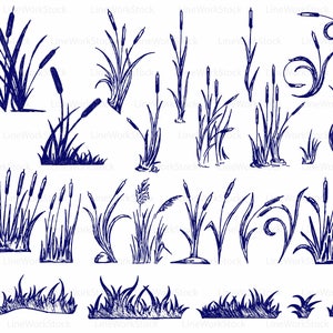 Reeds Svg/reeds Clipart/sedge Svg/reeds Silhouette/sedge Cricut/reeds ...