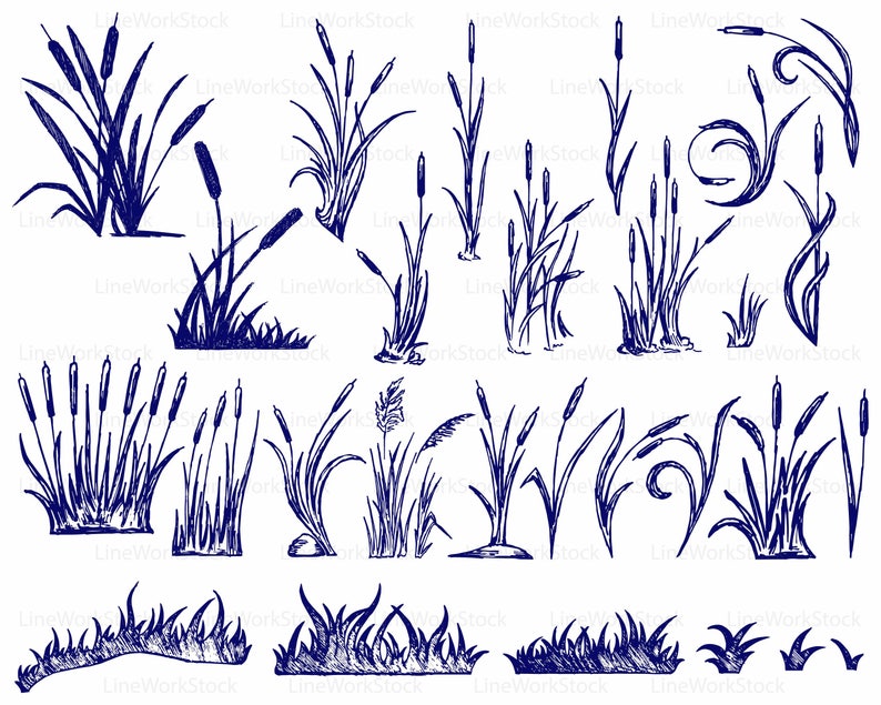 Reeds Svg/reeds Clipart/sedge Svg/reeds Silhouette/sedge - Etsy