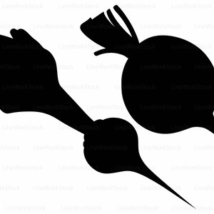 Beetroot Svg/clipart/vegetables Svg/beetroot Silhouette/beetroot Cricut ...