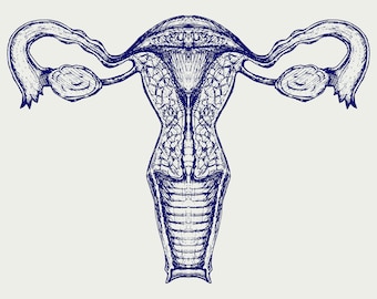 Internal Clip Art - Etsy