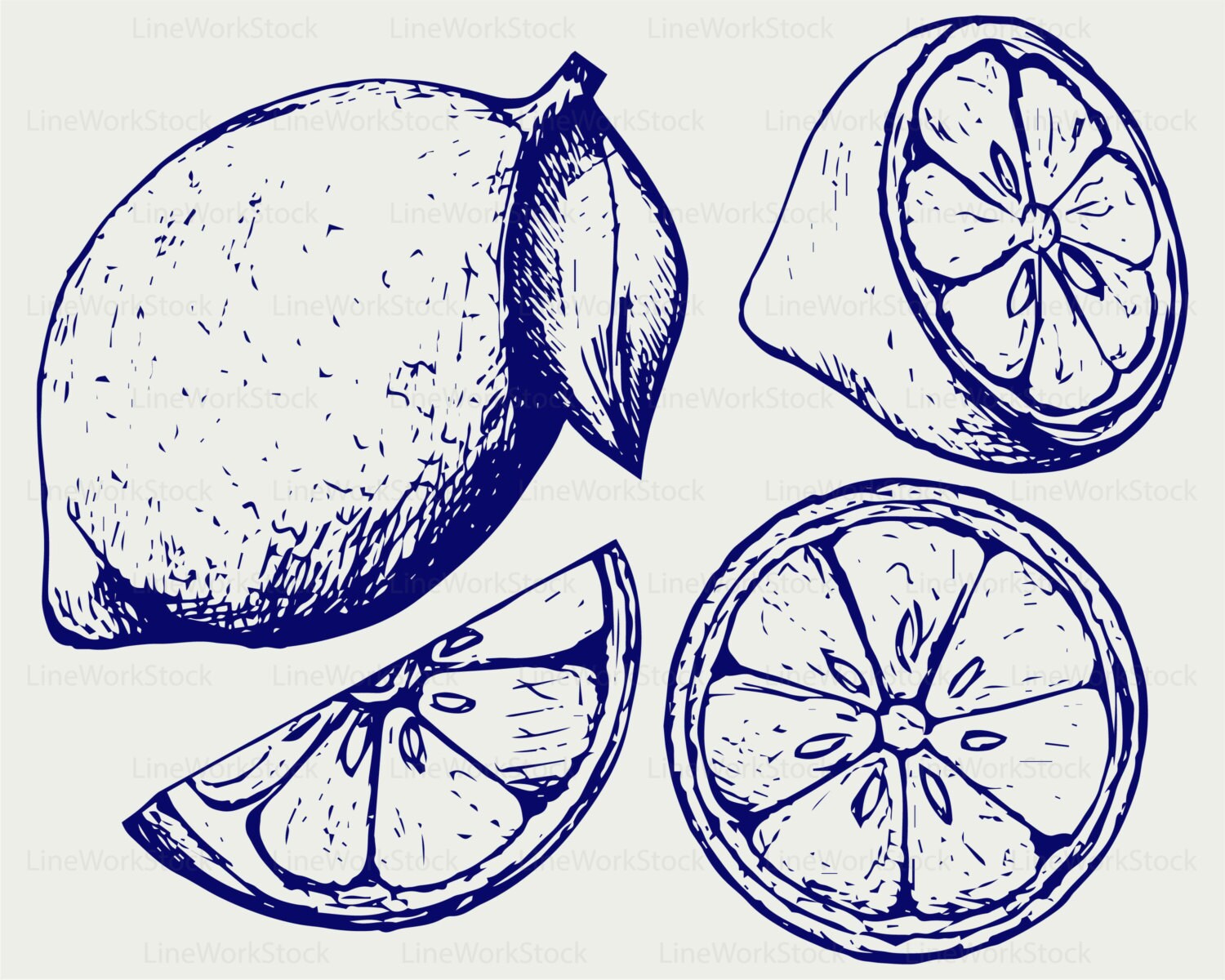 Zitrone Svg/Clipart/Obst Svg/Zitrone Kontur/Zitrone Cricut | Etsy