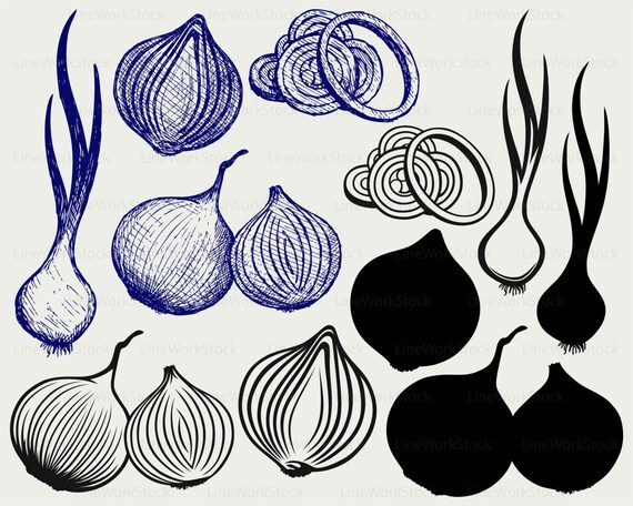 Onion Svg/clipart/vegetables Svg/onion Silhouette/green Onions | Etsy