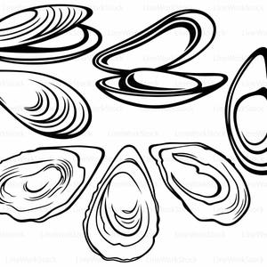 Clams Svg/clams Clipart/clams Svg/clams Silhouette/clams Cricut/clams ...