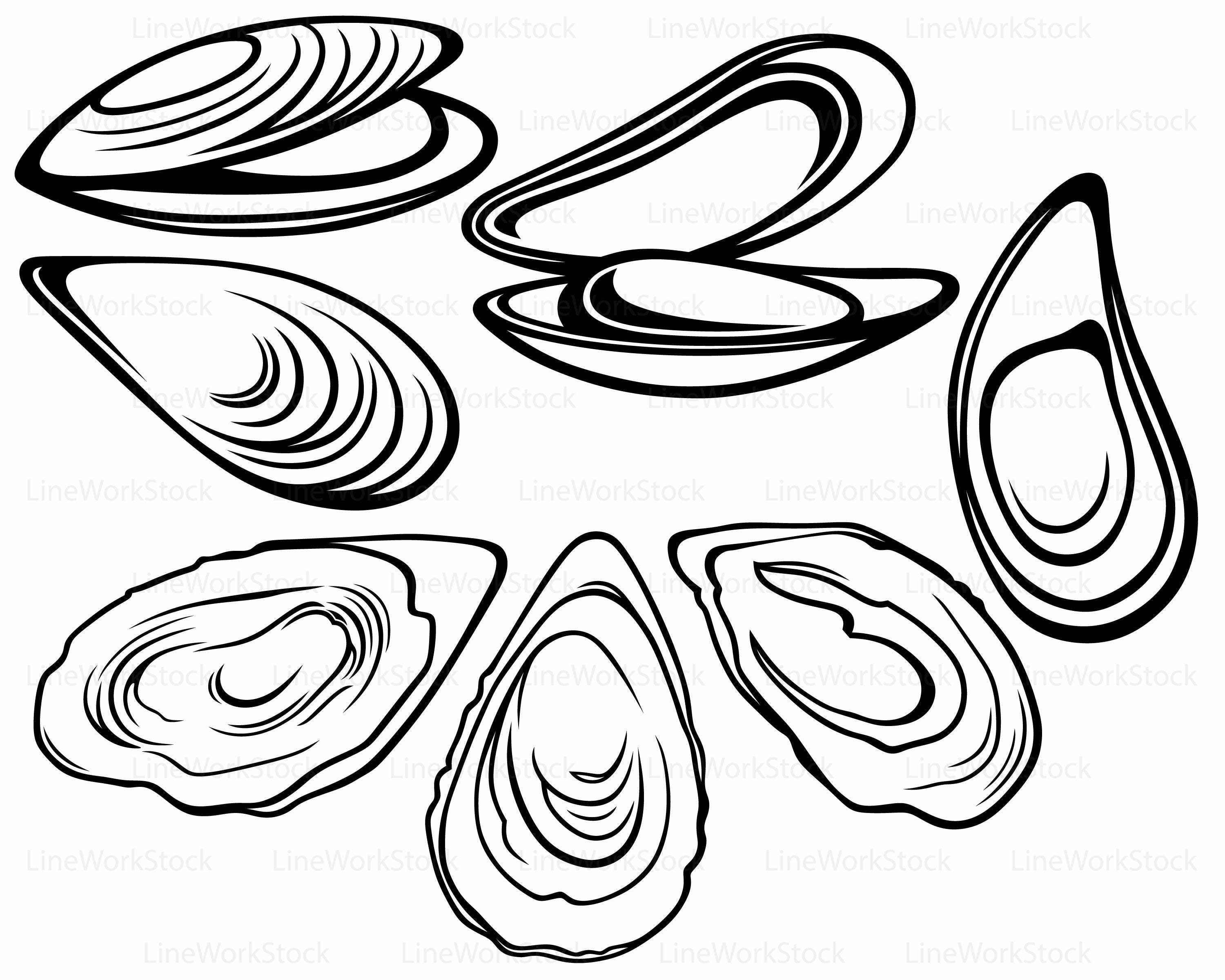 Open Clam Shell Clip Art