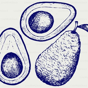 Aguacate svg/clipart/fruit svg/avocado silhouette/avocado cricut cut ...